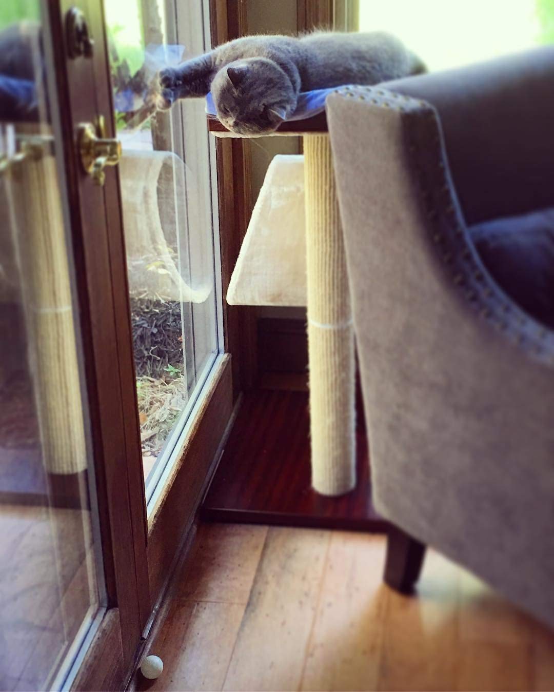 PetFusion Modern Cat Tree House & Tall Scratching Post (84 cm tall ...